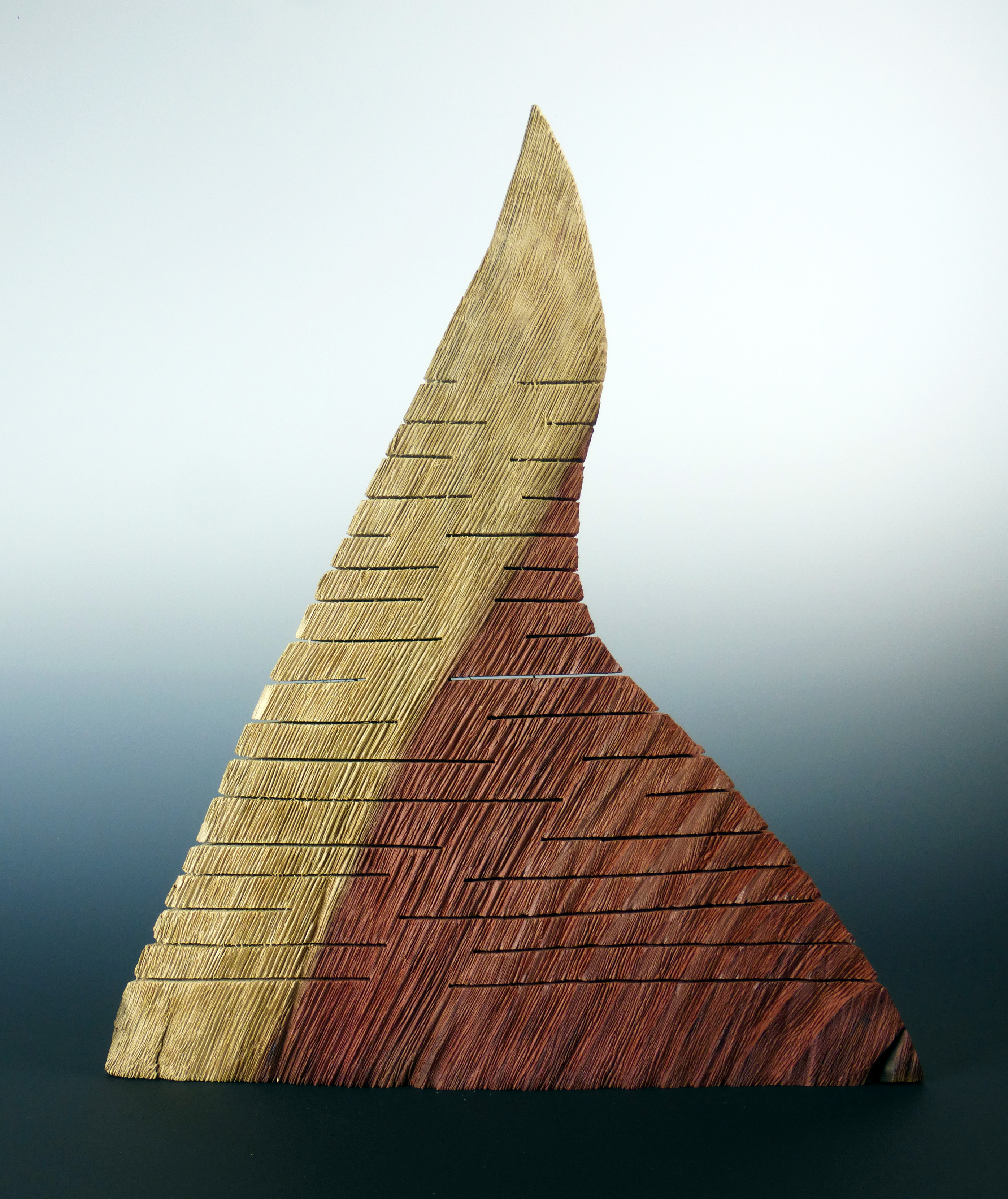 USSAR – Laurent Niclot