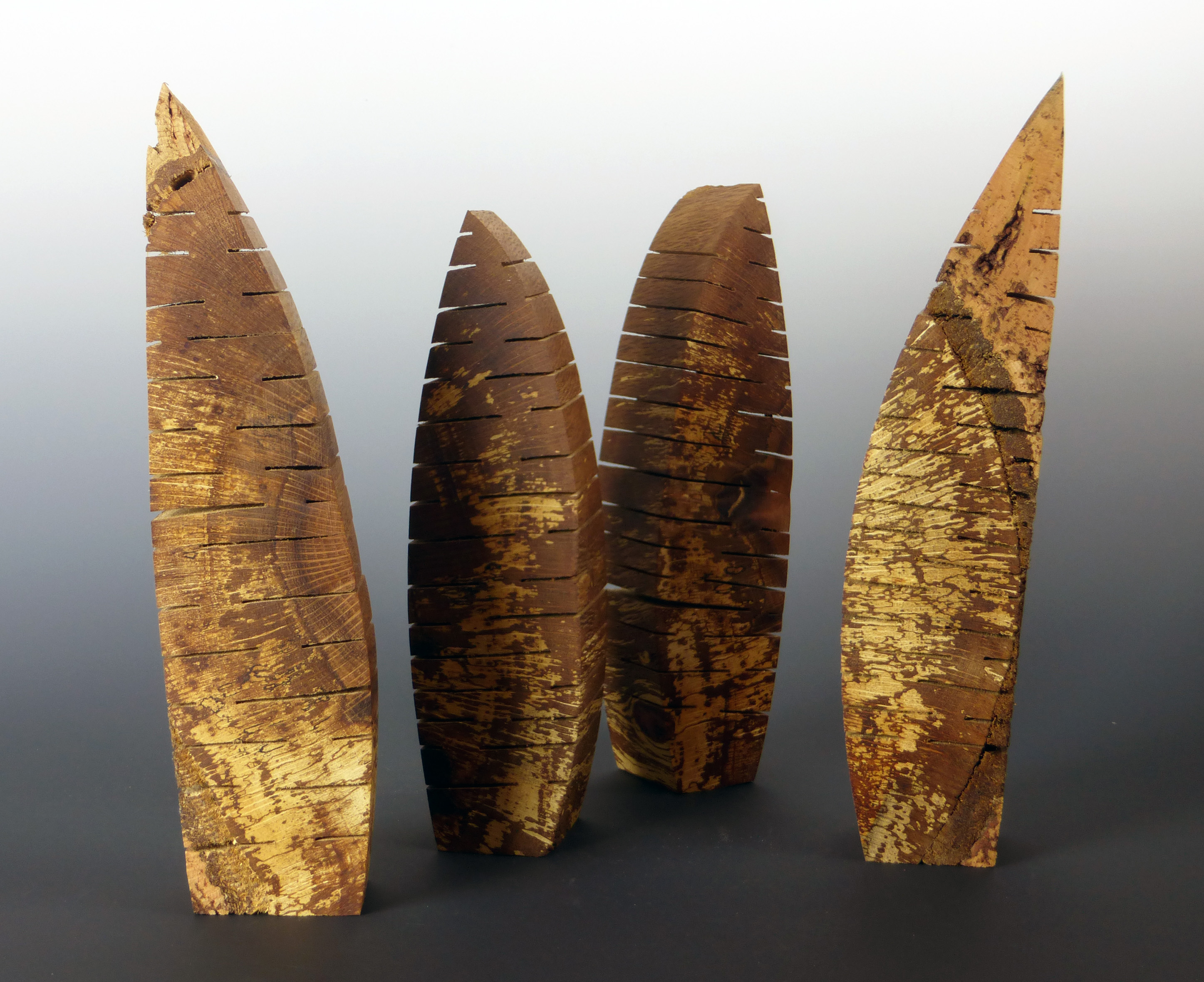 USSAR – Laurent Niclot